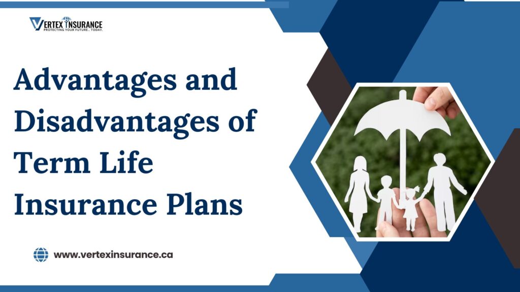 term life insurance Canada | vertex insurance